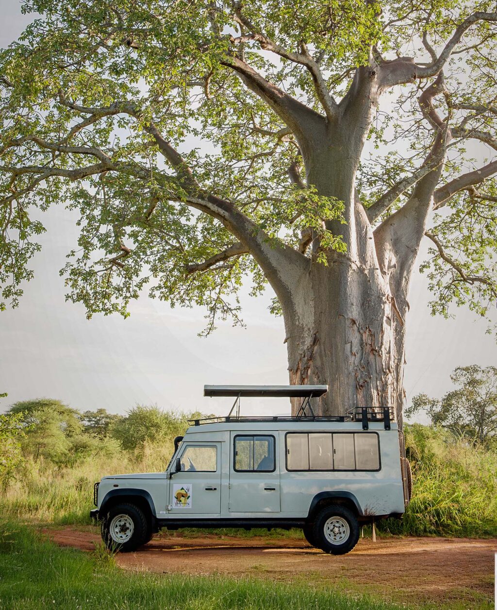 Safari Vehicles | Thomson Safaris