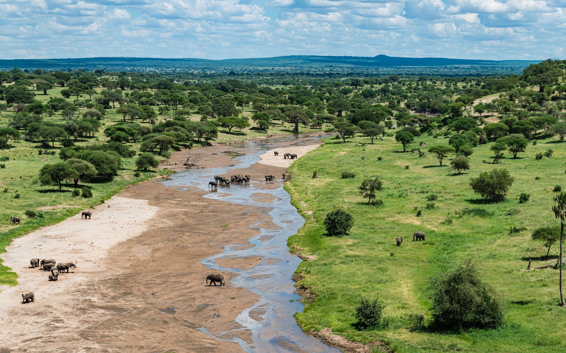 Parque Nacional Tarangire Why Go On A Tarangire National Park Safari