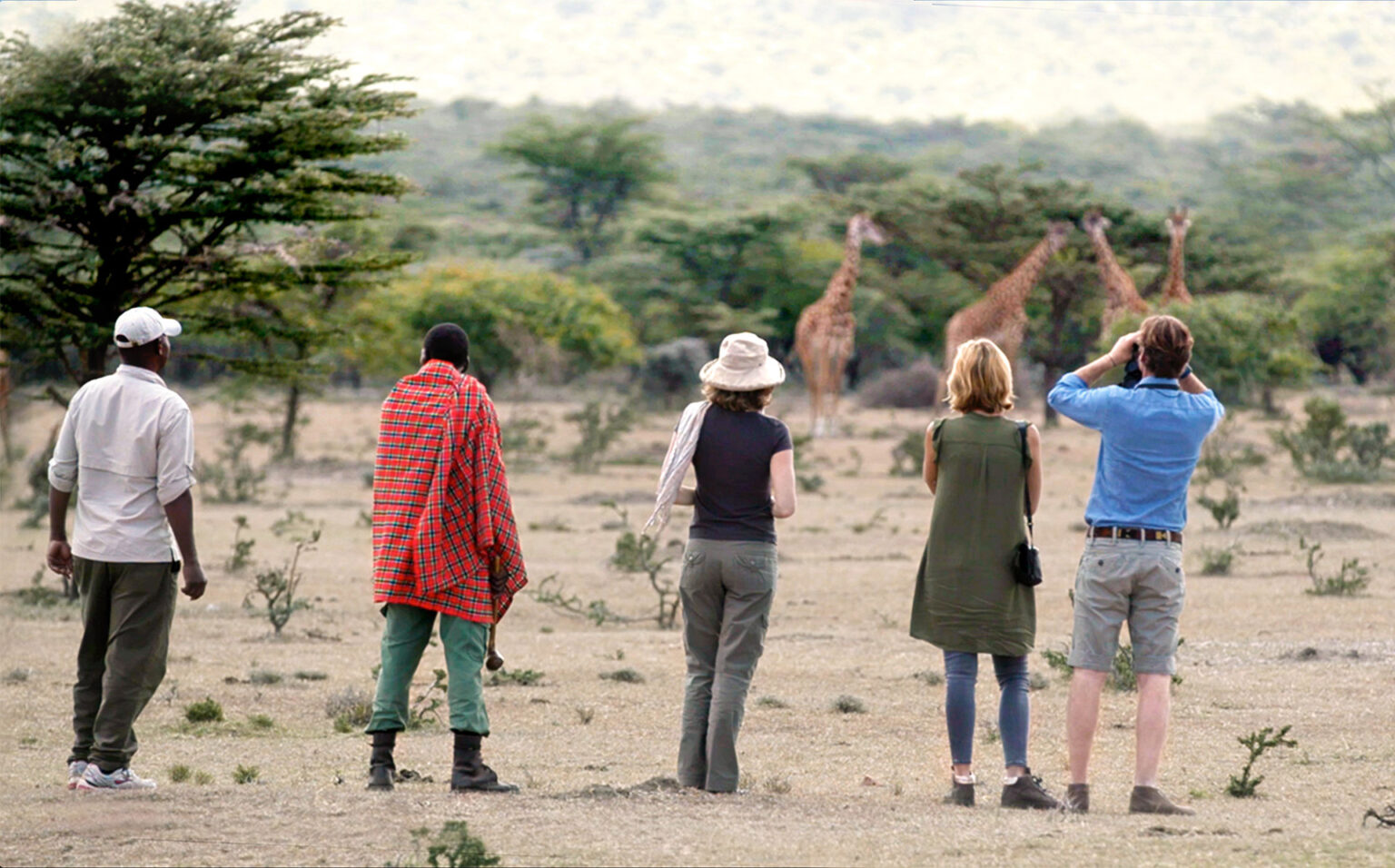 Find Your Perfect Safari | Thomson Safaris